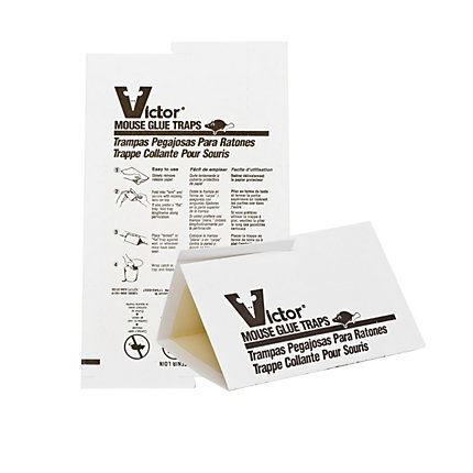 Victor® Mouse Glue Board - 72 Traps M320 | Animal Traps & Supplies