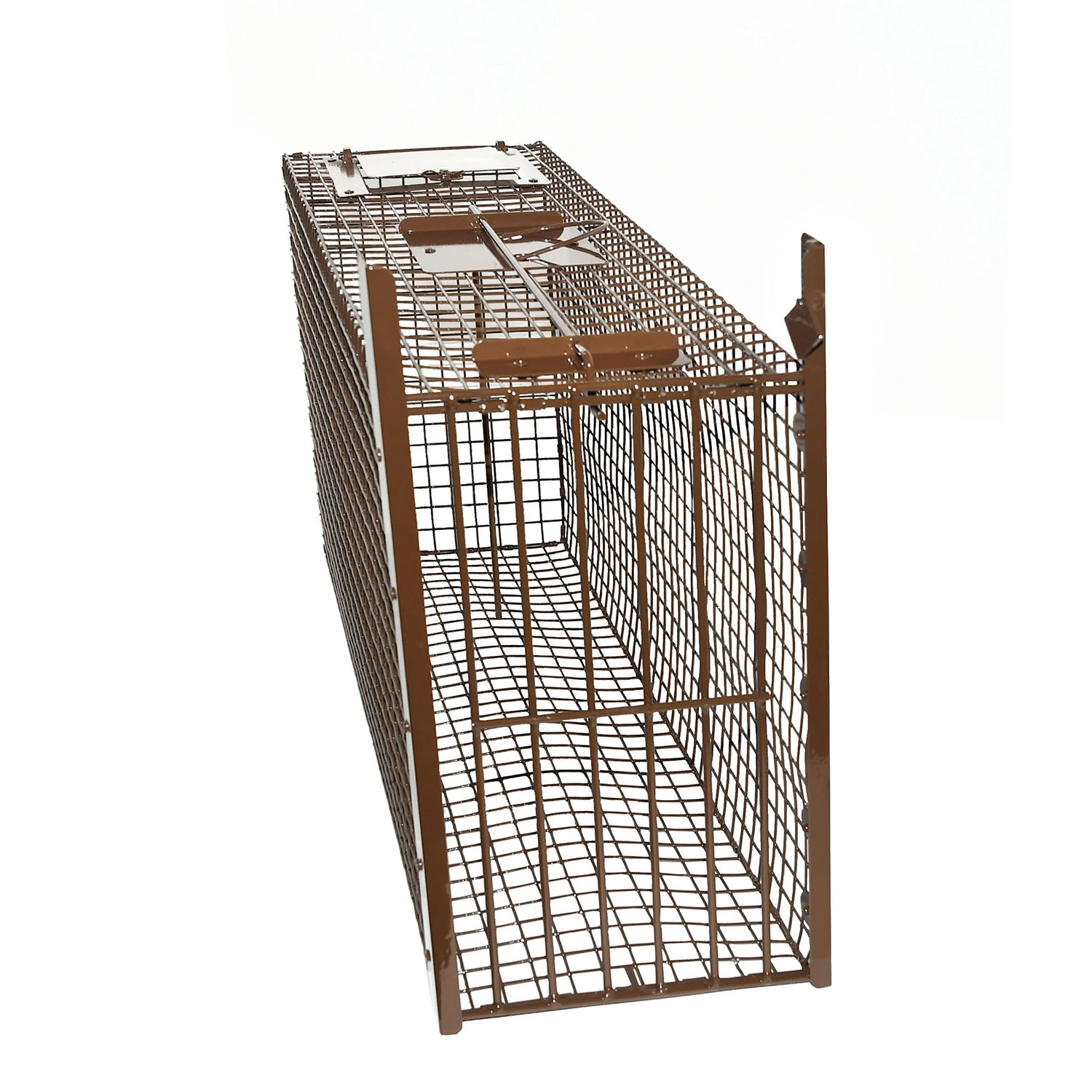 ZTRAPS Coyote Cage, Live Cage Trap (XL TRAP) 48" x 17" x 24" | Animal ...