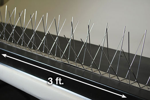 DURA SPIKE NARROW 2.5" Wide 3' Long | Animal Traps & Supplies