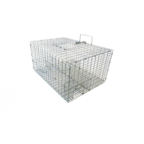 Sparrow Trap SP1 Two Chamber Trap | Animal Traps & Supplies