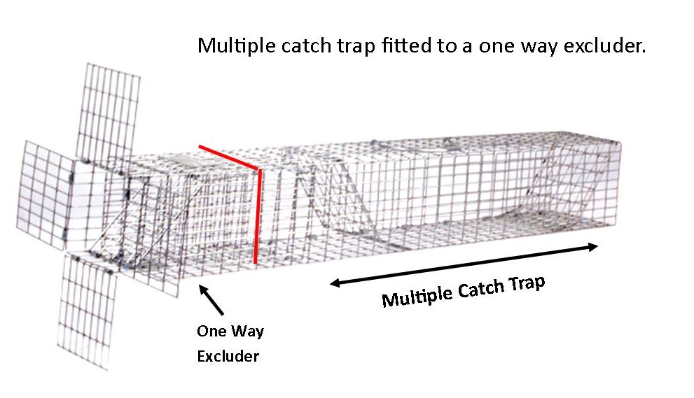 SP45 Squirrel Pack | Animal Traps & Supplies