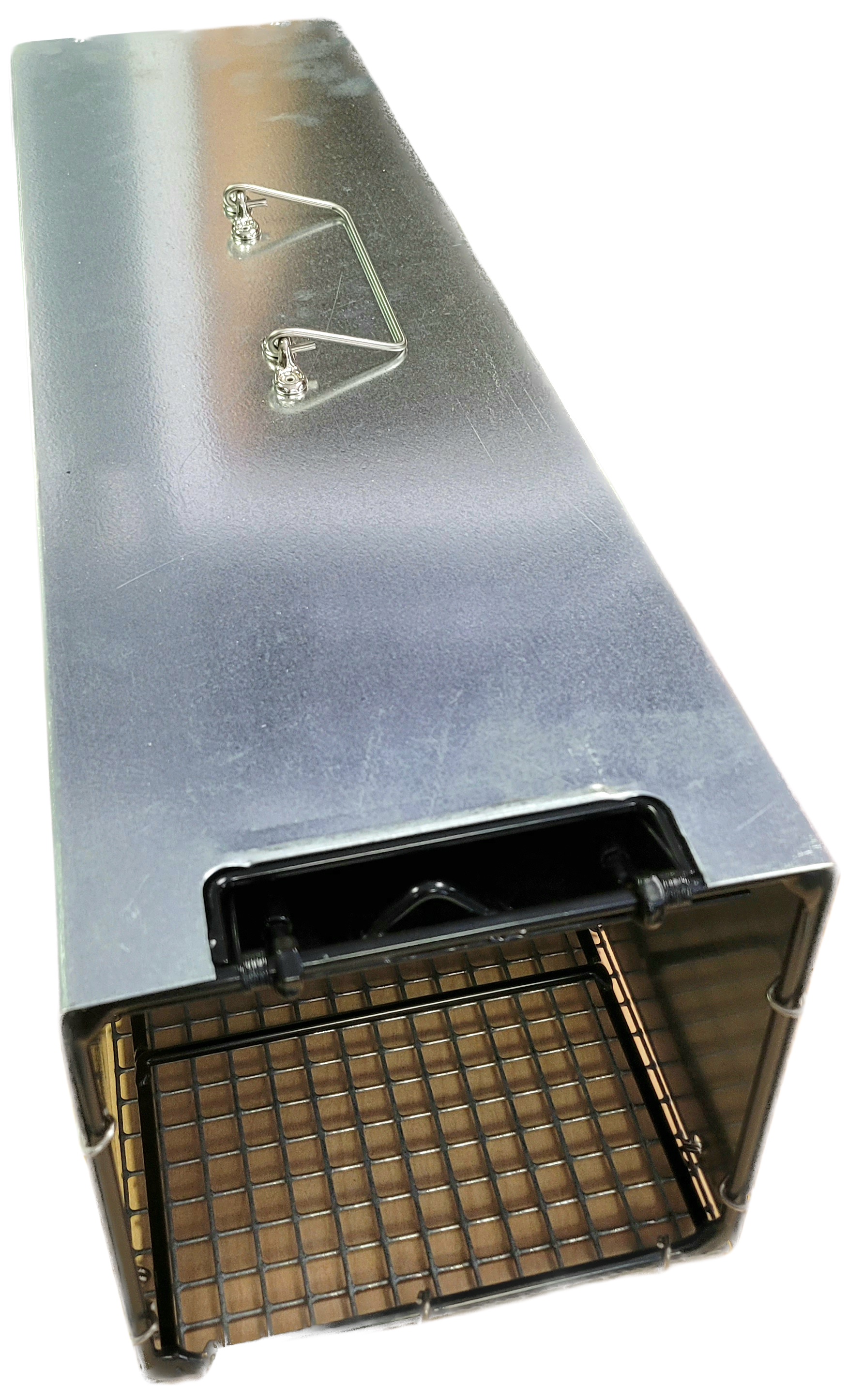 AAC PROLINE SKUNK TRAP (COVERED) | Animal Traps & Supplies