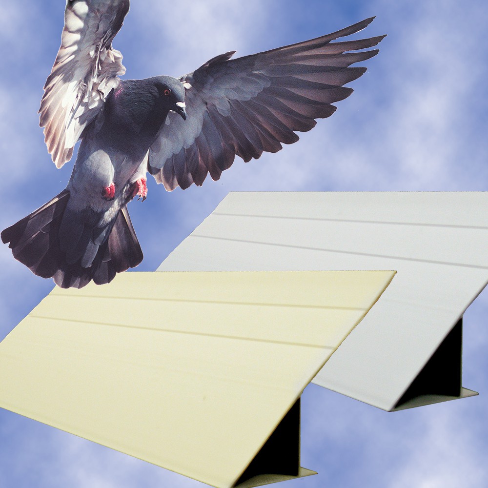 BIRD SLOPE (48 FT) | Animal Traps & Supplies