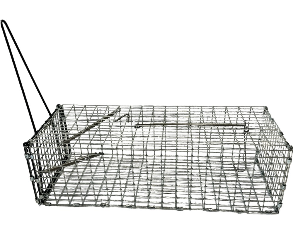 A-Frame Squirrel Trap | Animal Traps & Supplies