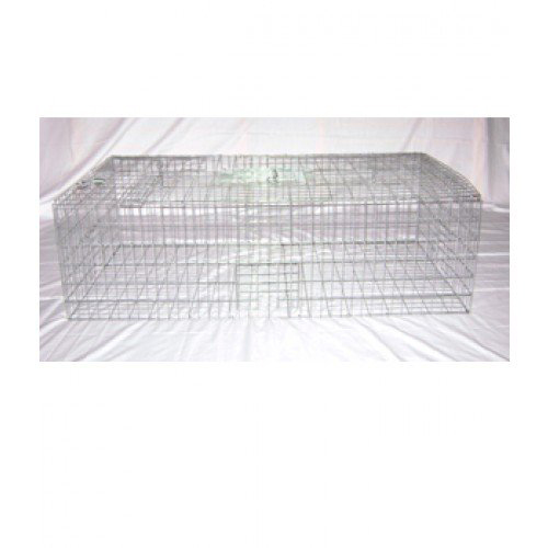 BIRD B GONE PIGEON TRAP COLLAPSIBLE 40"x22"x12" | Animal Traps & Supplies