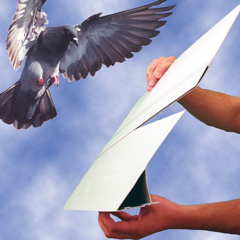 BIRD SLOPE EXTENDER (48) | Animal Traps & Supplies