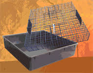 THE SQUIRRELINATOR MULTI CATCH LIVE TRAP WITH BASIN | Animal Traps ...