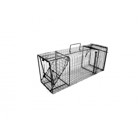 COMSTOCK SINGLE DOOR 18"x9"x11" | Animal Traps & Supplies