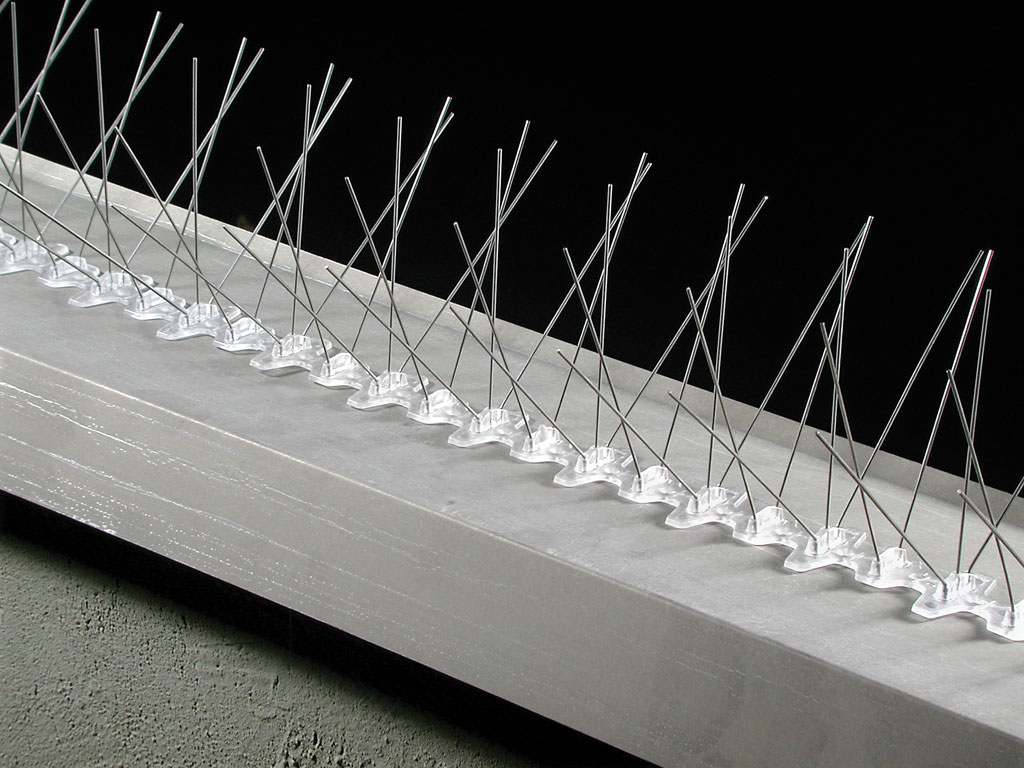 BIRD FLITE NARROW 2.5" x 10' | Animal Traps & Supplies