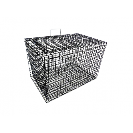TOMAHAWK FISH LIVE BOX 24"x15"x15" MODEL 402.4C COLLAPSIBLE | Animal ...